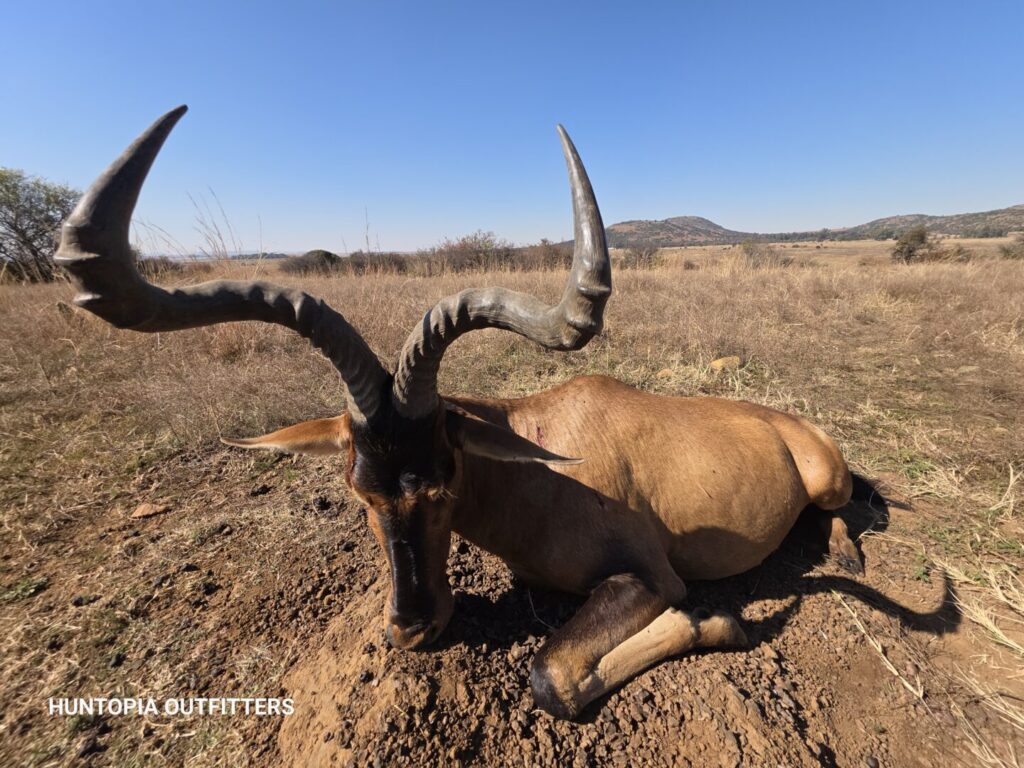 Hunting & Photo Safaris in Africa Home - Huntopia Outfitters